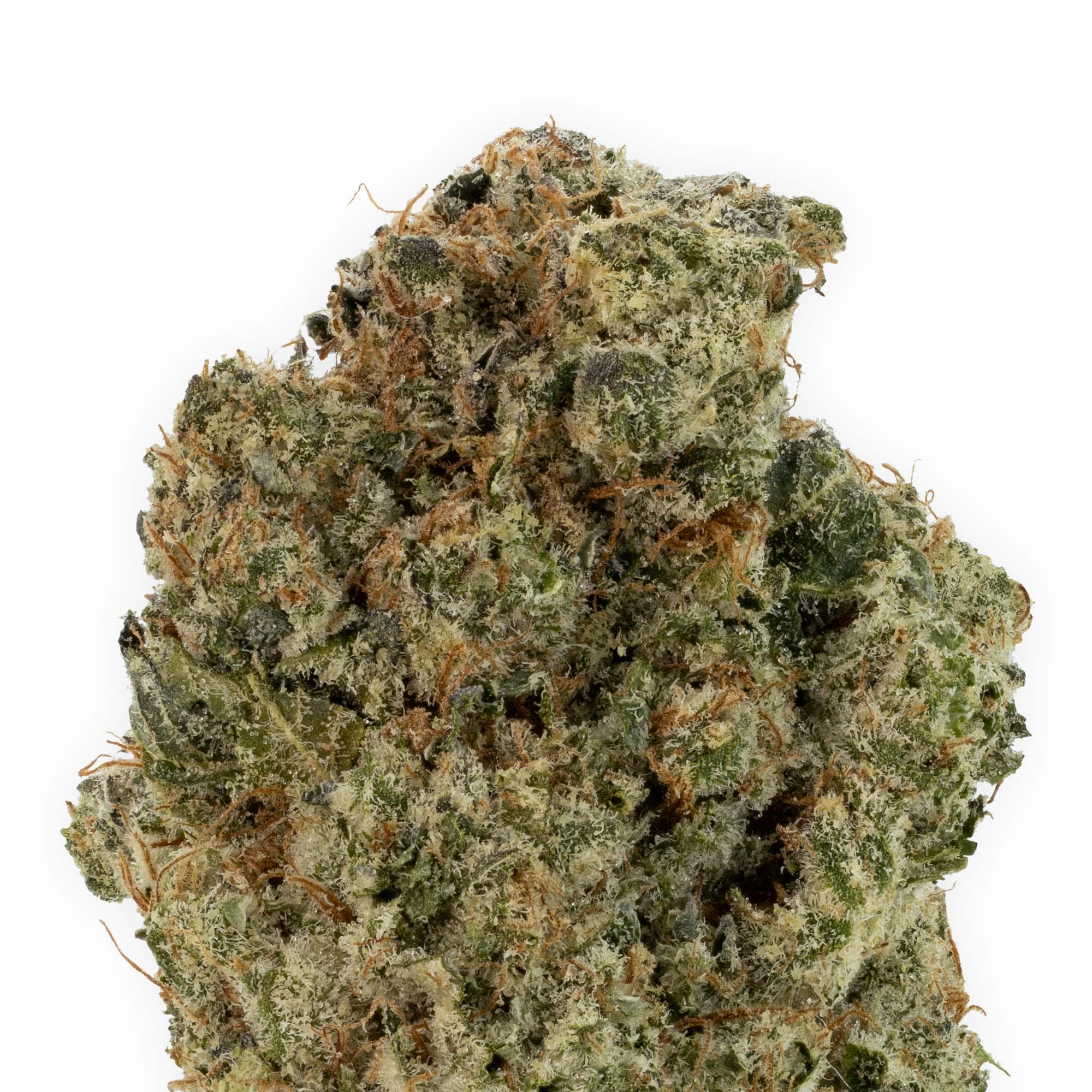 GMO Cookies - Skookum Cannabis