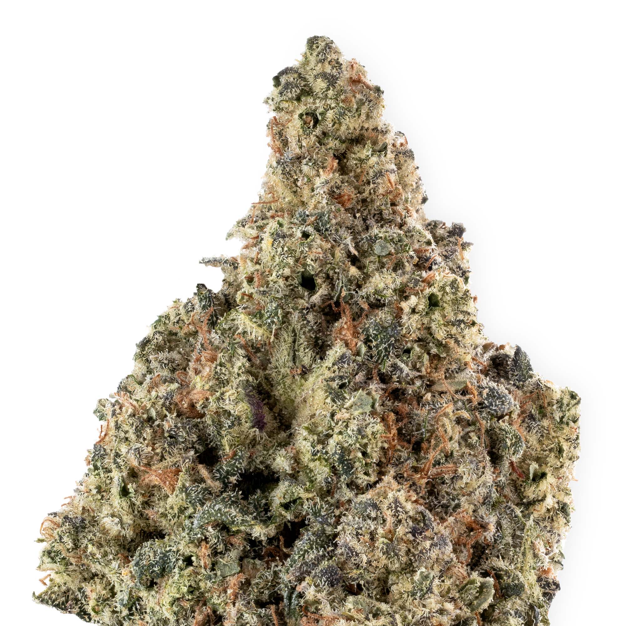 Red Velvet Runtz - Skookum Cannabis